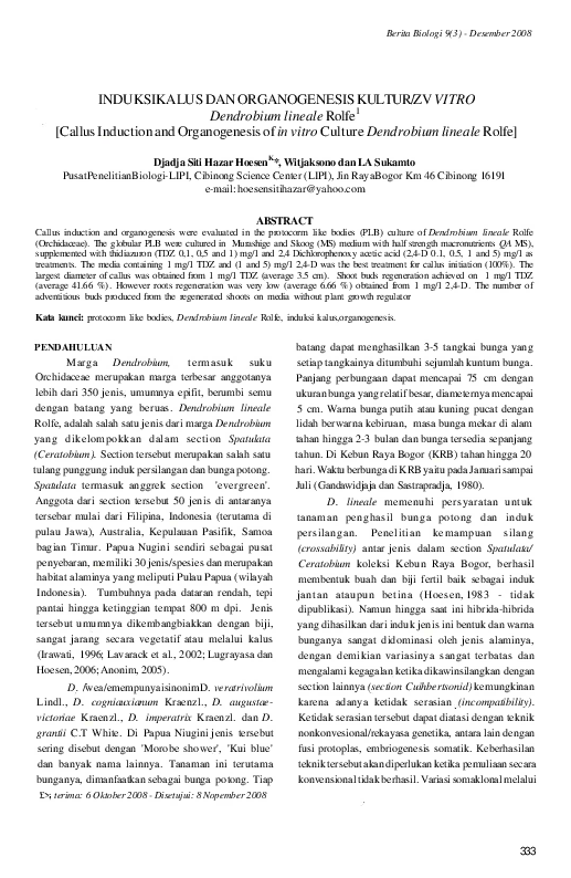 (PDF) INDUKSI KALUS DAN ORGANOGENESIS KULTUR IN VITRO Dendrobium ...