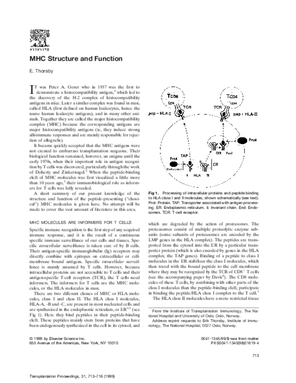 (PDF) MHC structure and function