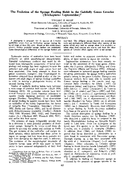 (PDF) The Evolution of the Sponge Feeding Habit in the Caddisfly Genus ...