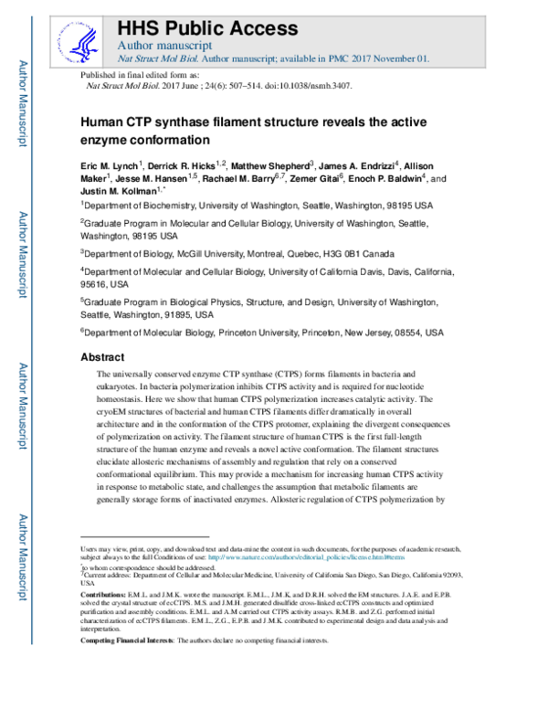 Pdf Human Ctp Synthase Filament Structure Reveals The Active Enzyme Conformation