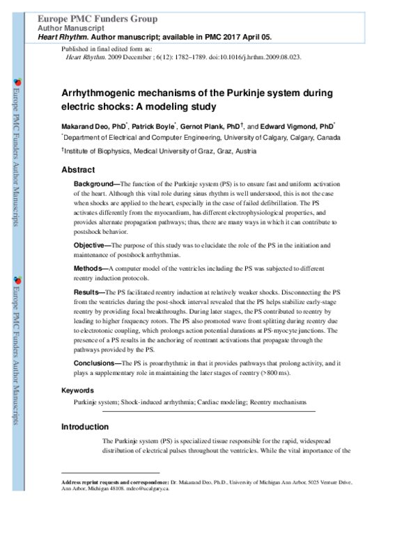 (PDF) Arrhythmogenic mechanisms of the Purkinje system during electric shocks: A modeling study