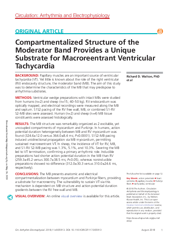 (PDF) Compartmentalized Structure of the Moderator Band Provides a ...
