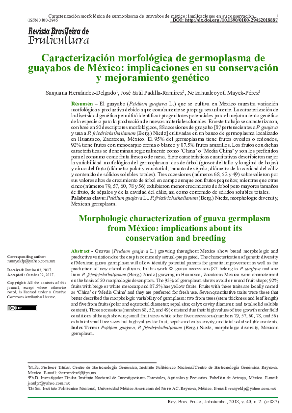 (PDF) Caracterización Morfológica De Germoplasma De Guayabos De México ...