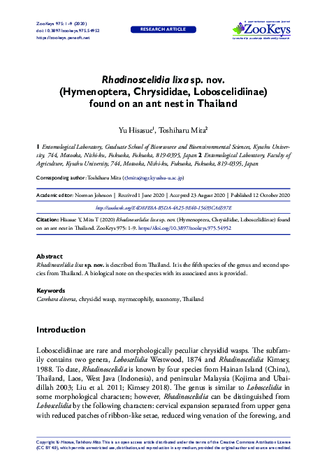 (PDF) Hazard Perception and Prediction test for walking, riding a bike ...