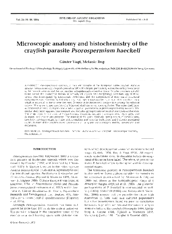(PDF) Microscopic anatomy and histochemistry of the crayfish parasite ...