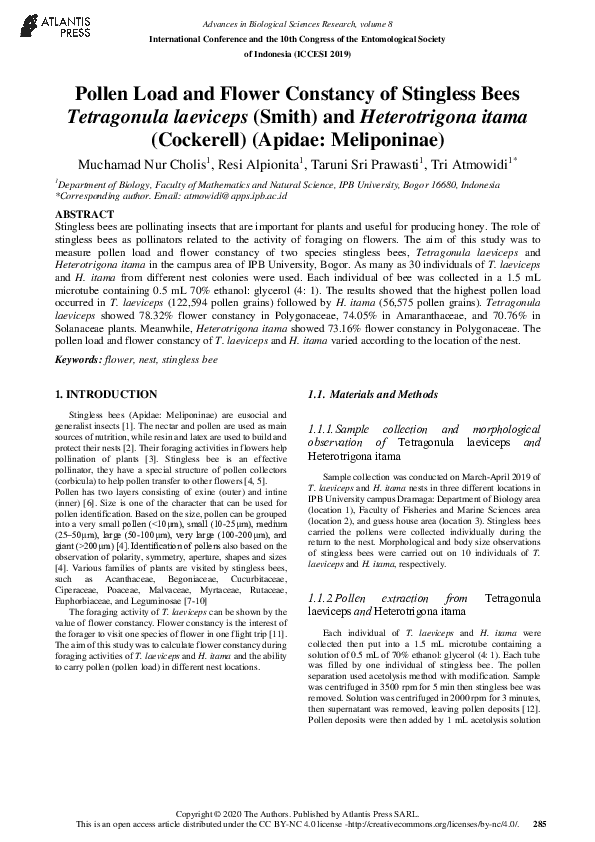 (PDF) Pollen Load and Flower Constancy of Stingless Bees Tetragonula laeviceps (Smith) and ...