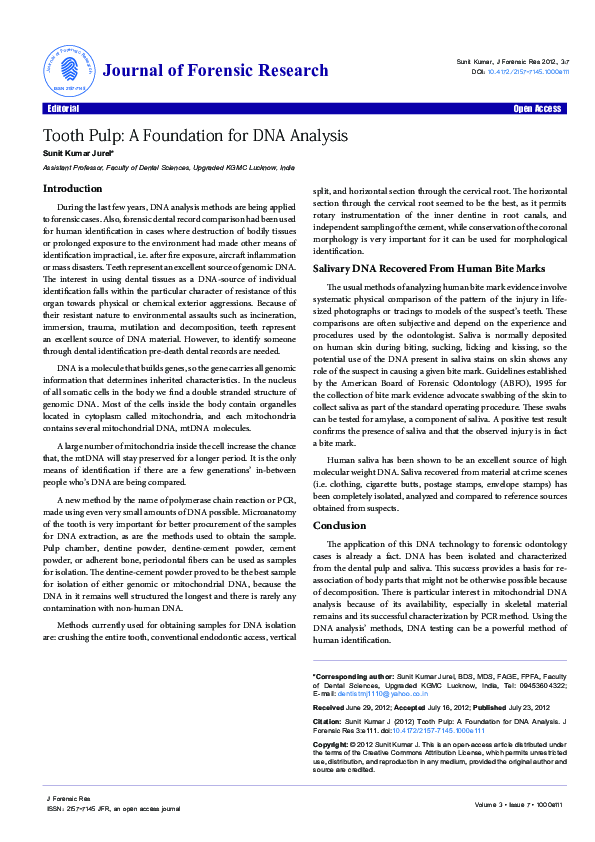 (PDF) Tooth Pulp: A Foundation for DNA Analysis