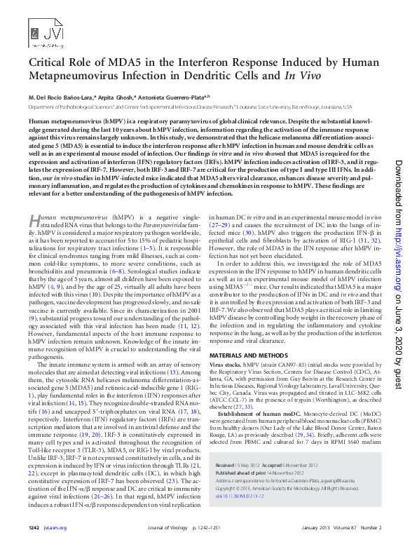 (PDF) Critical Role of MDA5 in the Interferon Response Induced by Human ...