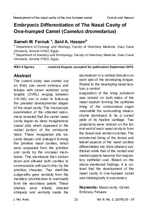 (PDF) Embryonic Differentiation of The Nasal Cavity of One-humped Camel ...