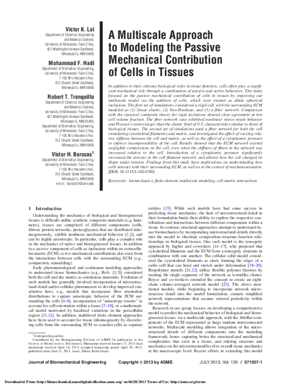 (PDF) A Multiscale Approach to Modeling the Passive Mechanical Contribution of Cells in Tissues