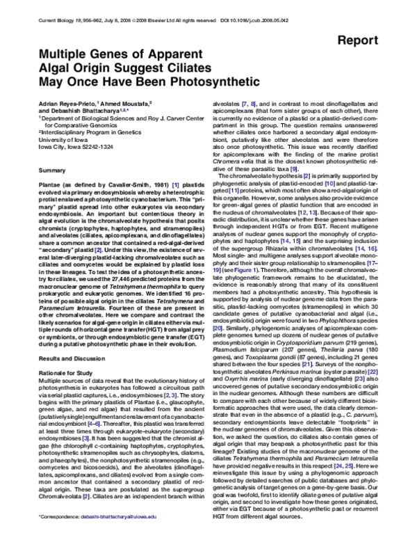 (PDF) Multiple Genes of Apparent Algal Origin Suggest Ciliates May Once ...