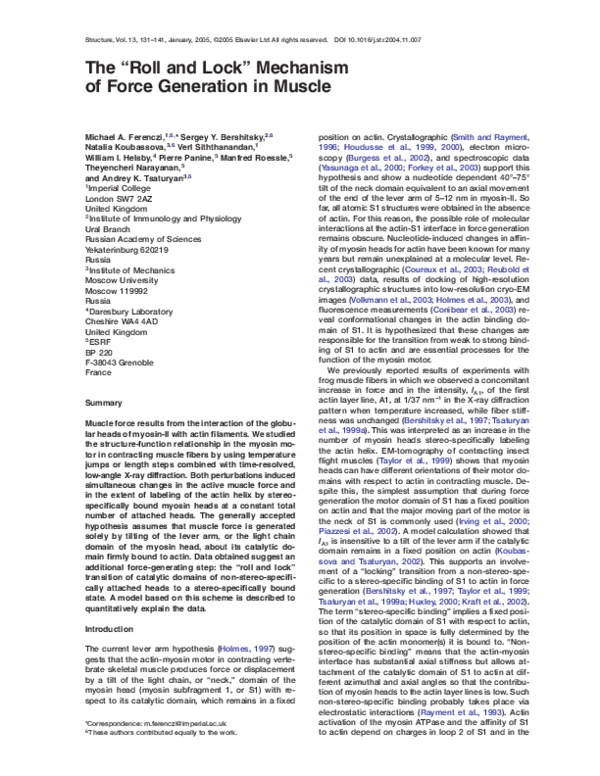 (PDF) The “Roll and Lock” Mechanism of Force Generation in Muscle