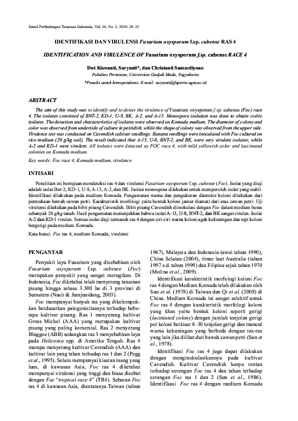 (PDF) IDENTIFIKASI DAN VIRULENSI Fusarium oxysporum f.sp. cubense RAS 4 ...