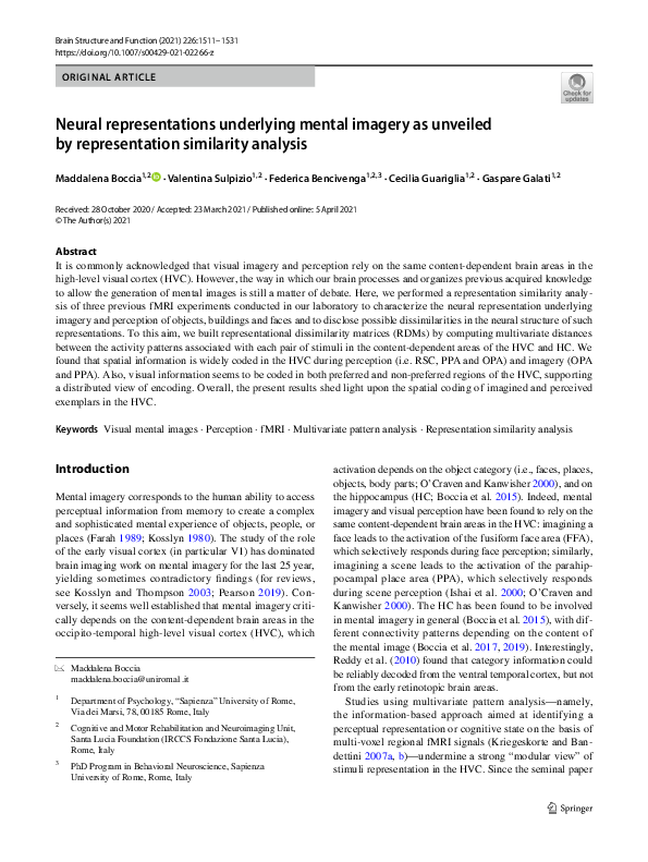 (PDF) Neural representations underlying mental imagery as unveiled by ...