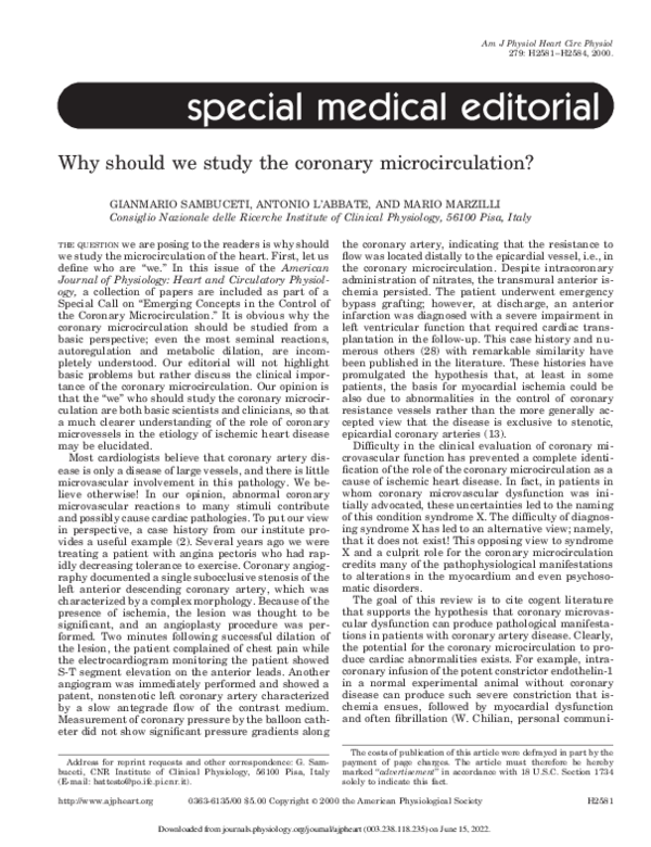 (PDF) Why should we study the coronary microcirculation? | Mario ...