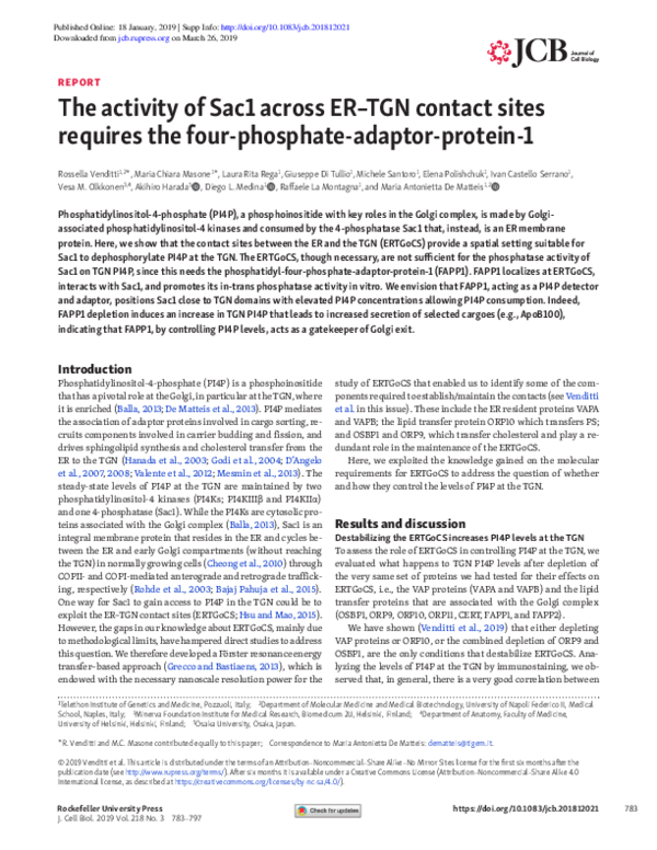 (PDF) The activity of Sac1 across ER–TGN contact sites requires the ...