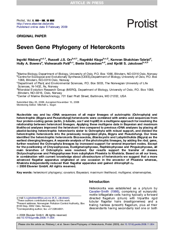 (PDF) Seven Gene Phylogeny of Heterokonts