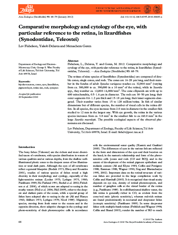 (PDF) Comparative morphology and cytology of the eye, with particular ...