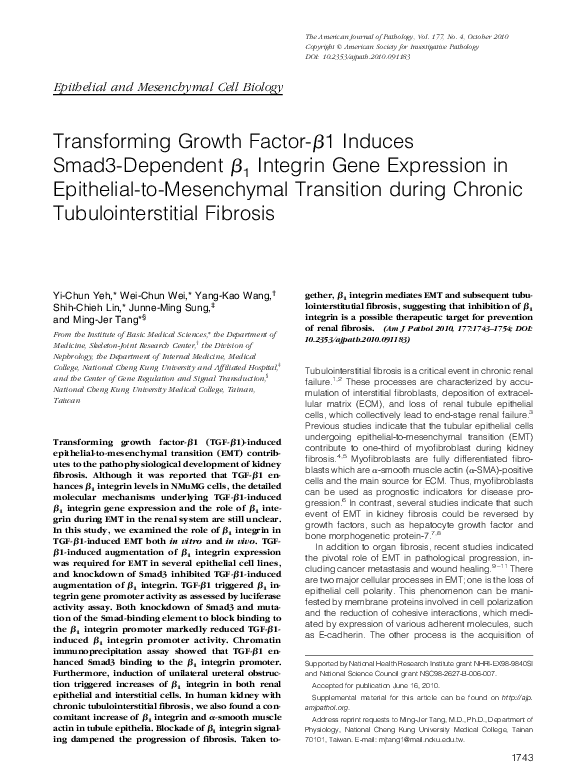 (PDF) Transforming Growth Factor-β1 Induces Smad3-Dependent β1 Integrin Gene Expression in ...