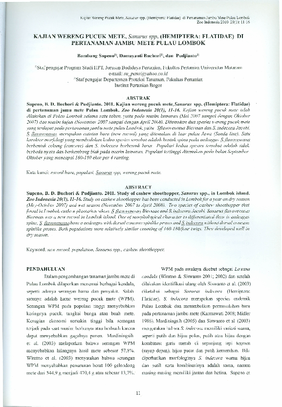 (PDF) Kajian Wereng Pucuk Mete Sanurus SPP Hemiptera Flatidae DI ...
