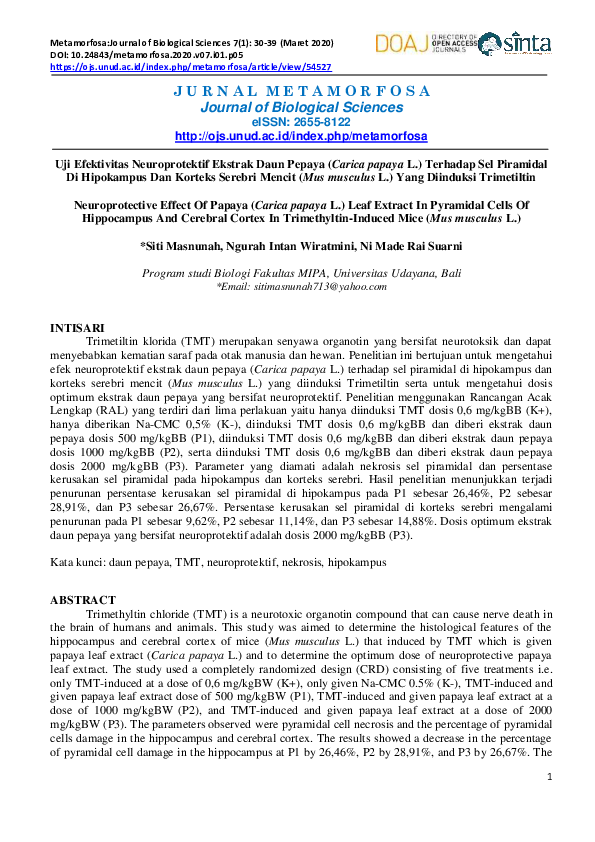 (PDF) Uji Efektivitas Neuroprotektif Ekstrak Daun Pepaya (Carica papaya ...