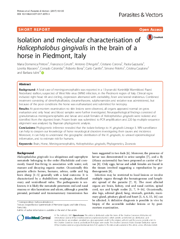 (PDF) Isolation and molecular characterisation of Halicephalobus ...