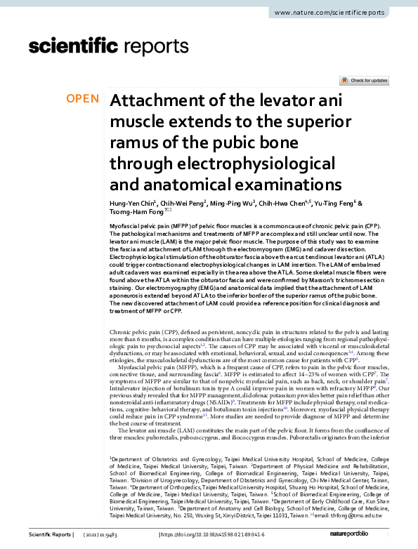 (PDF) Attachment of the levator ani muscle extends to the superior ...