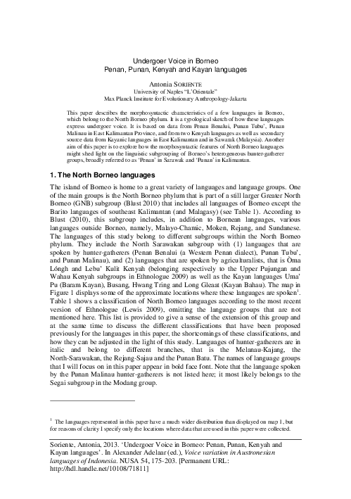 (PDF) Undergoer voice in Borneo Penan, Punan, Kenyah, and Kayan languages