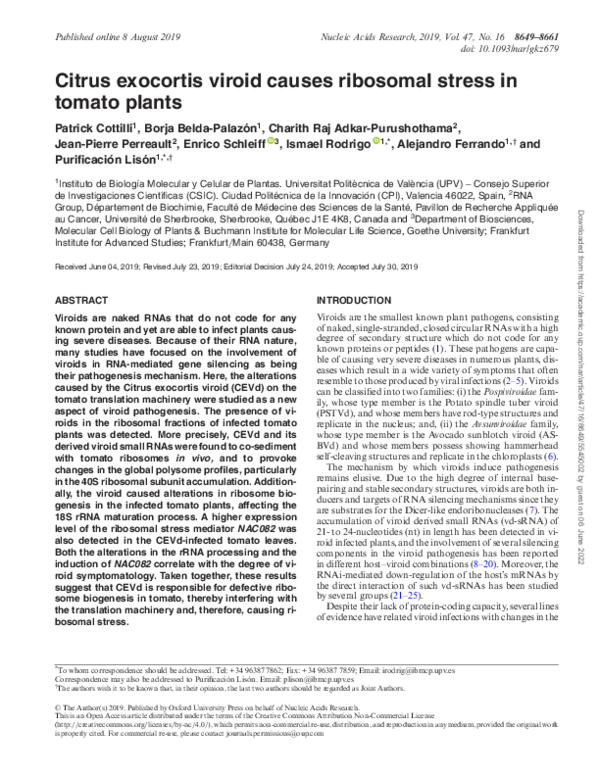 (PDF) Citrus exocortis viroid causes ribosomal stress in tomato plants