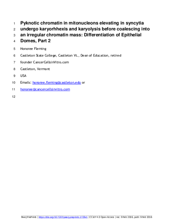 (PDF) Pyknotic chromatin in mitonucleons elevating in syncytia undergo ...