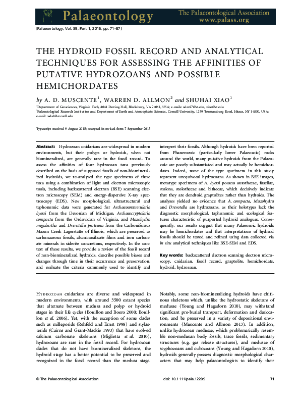 (PDF) The hydroid fossil record and analytical techniques for assessing ...
