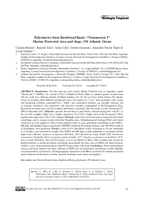 (PDF) Polychaetes from Burdwood Bank: “Namuncurá I” Marine Protected ...