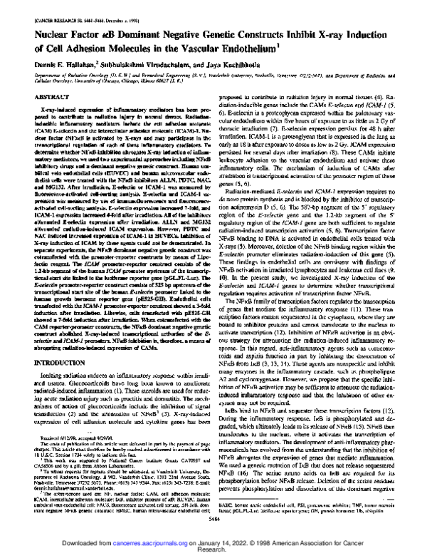 (PDF) Nuclear factor kB dominant negative genetic constructs inhibit X ...