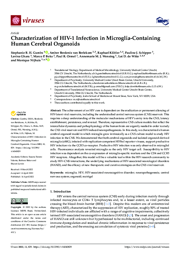 (PDF) Characterization of HIV-1 Infection in Microglia-Containing Human ...