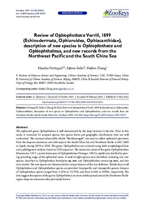(PDF) Review of Ophioplinthaca Verrill, 1899 (Echinodermata ...