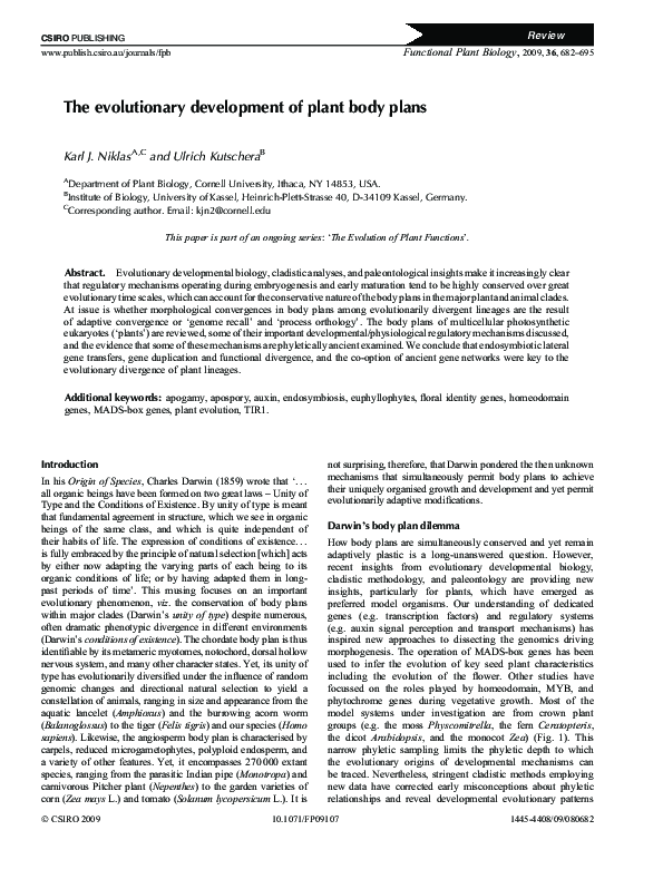 (PDF) The evolutionary development of plant body plans
