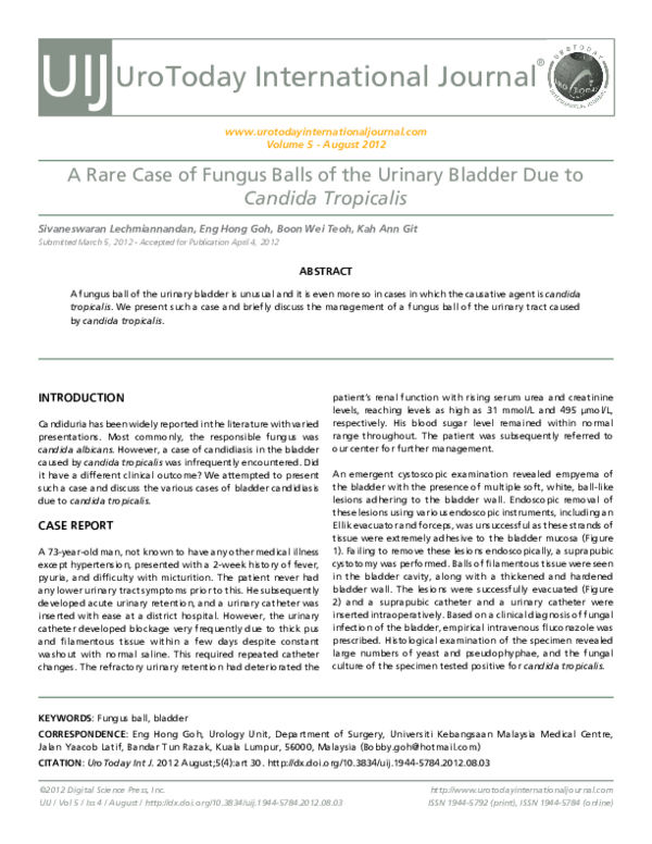 (PDF) A Rare Case of Fungus Balls of the Urinary Bladder Due to Candida ...