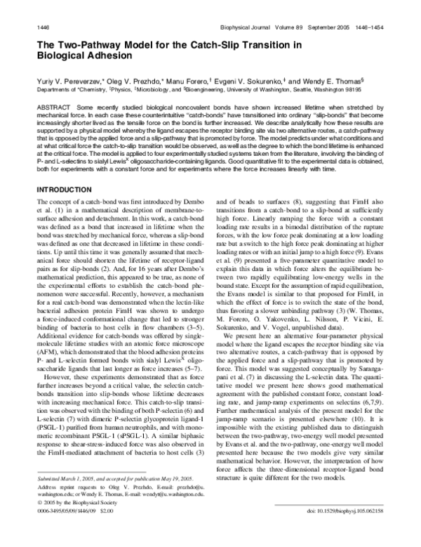 (PDF) The Two-Pathway Model for the Catch-Slip Transition in Biological ...