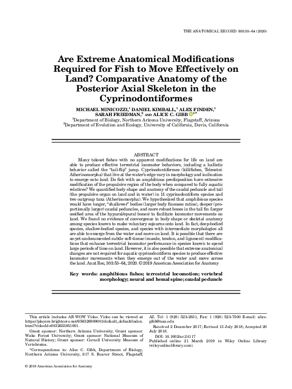 (PDF) Are Extreme Anatomical Modifications Required for Fish to Move ...