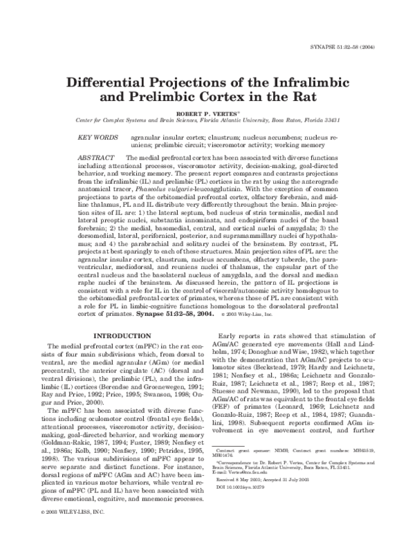 Pdf Differential Projections Of The Infralimbic And Prelimbic Cortex In The Rat