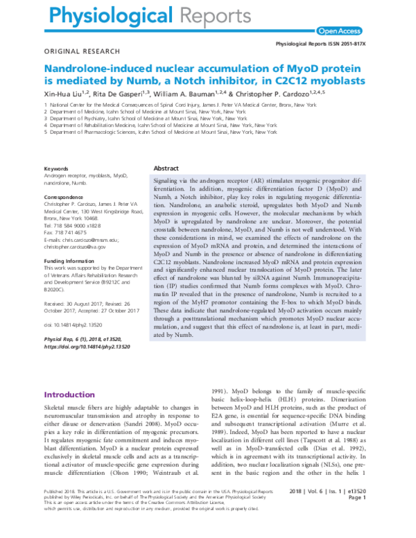 (PDF) Prehistoric and Roman Derby: excavations at Littleover, Derby, 2003-4