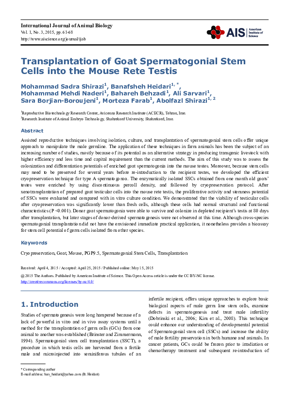 (PDF) Transplantation of Goat Spermatogonial Stem Cells into the Mouse ...