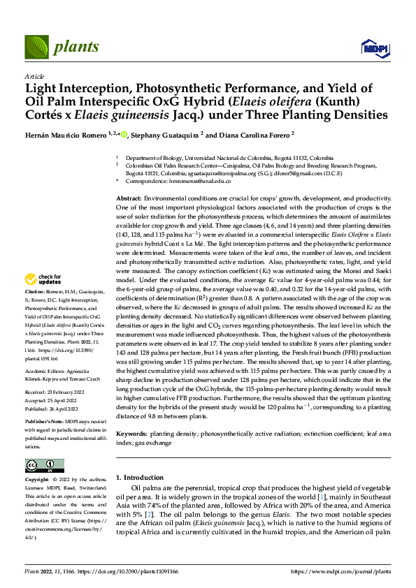 (PDF) Light Interception, Photosynthetic Performance, and Yield of Oil ...