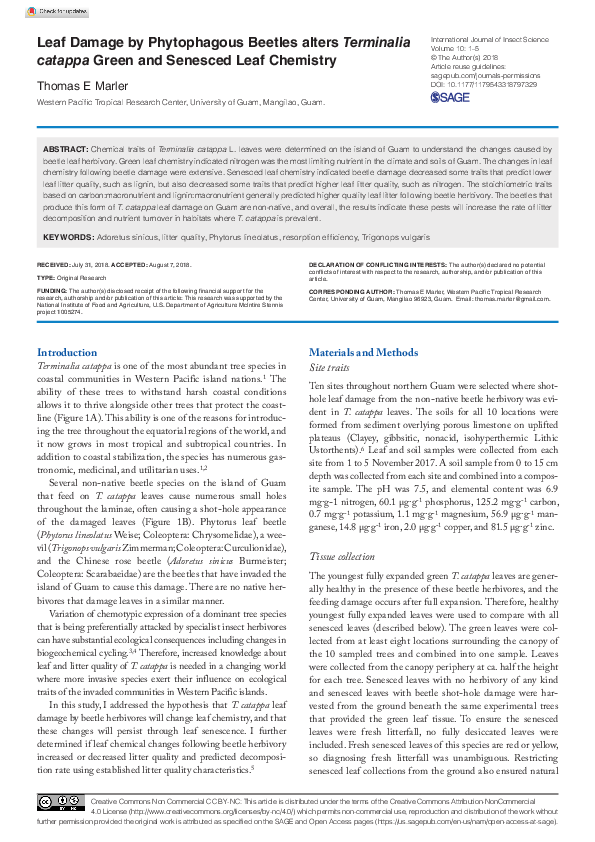 (PDF) Leaf Damage by Phytophagous Beetles alters Terminalia catappa ...