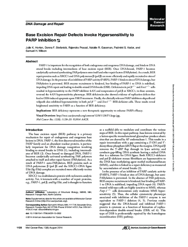 (PDF) Base Excision Repair Defects Invoke Hypersensitivity to PARP ...