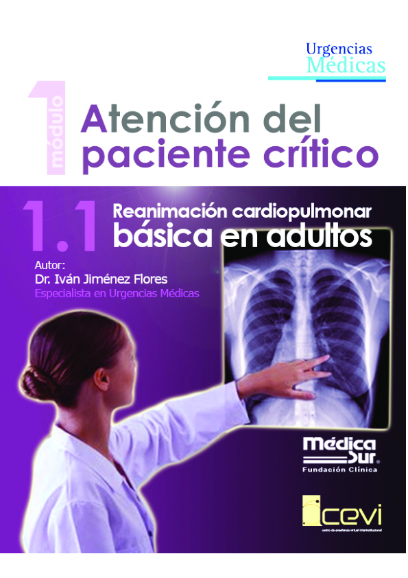(PDF) BLS BASICO