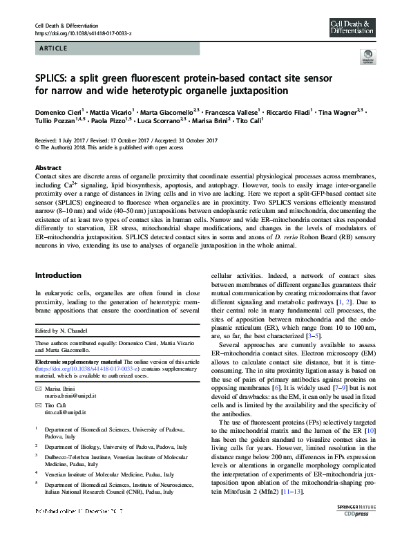 (PDF) SPLICS: a split green fluorescent protein-based contact site ...