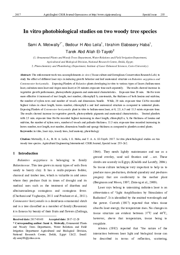 (PDF) In vitro Photobiological Studies on Two Woody Tree species