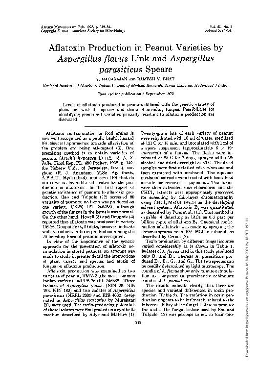 Pdf Aflatoxin Production In Peanut Varieties By Aspergillus Flavus
