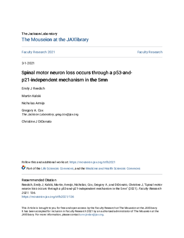(PDF) Spinal motor neuron loss occurs through a p53-and-p21-independent ...